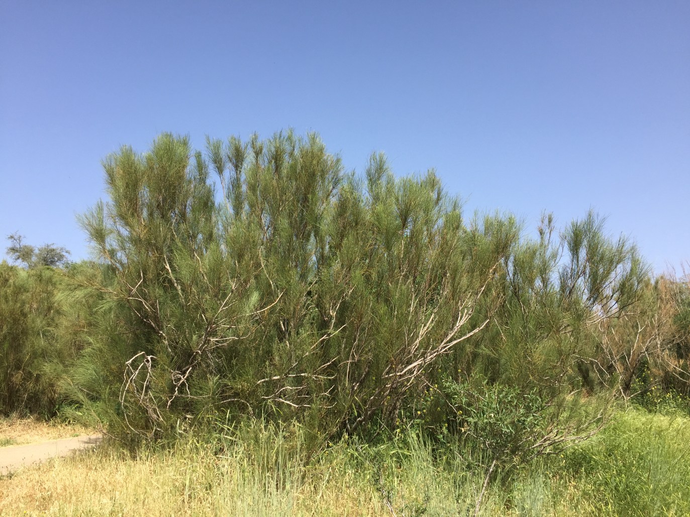 诗篇第120篇逐节注解、祷读 – 圣经综合解读备份网站